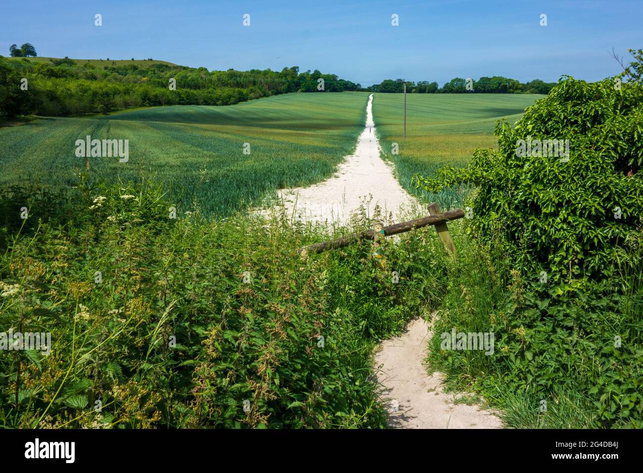 Chalk memorial hi-res stock photography and images - Alamy