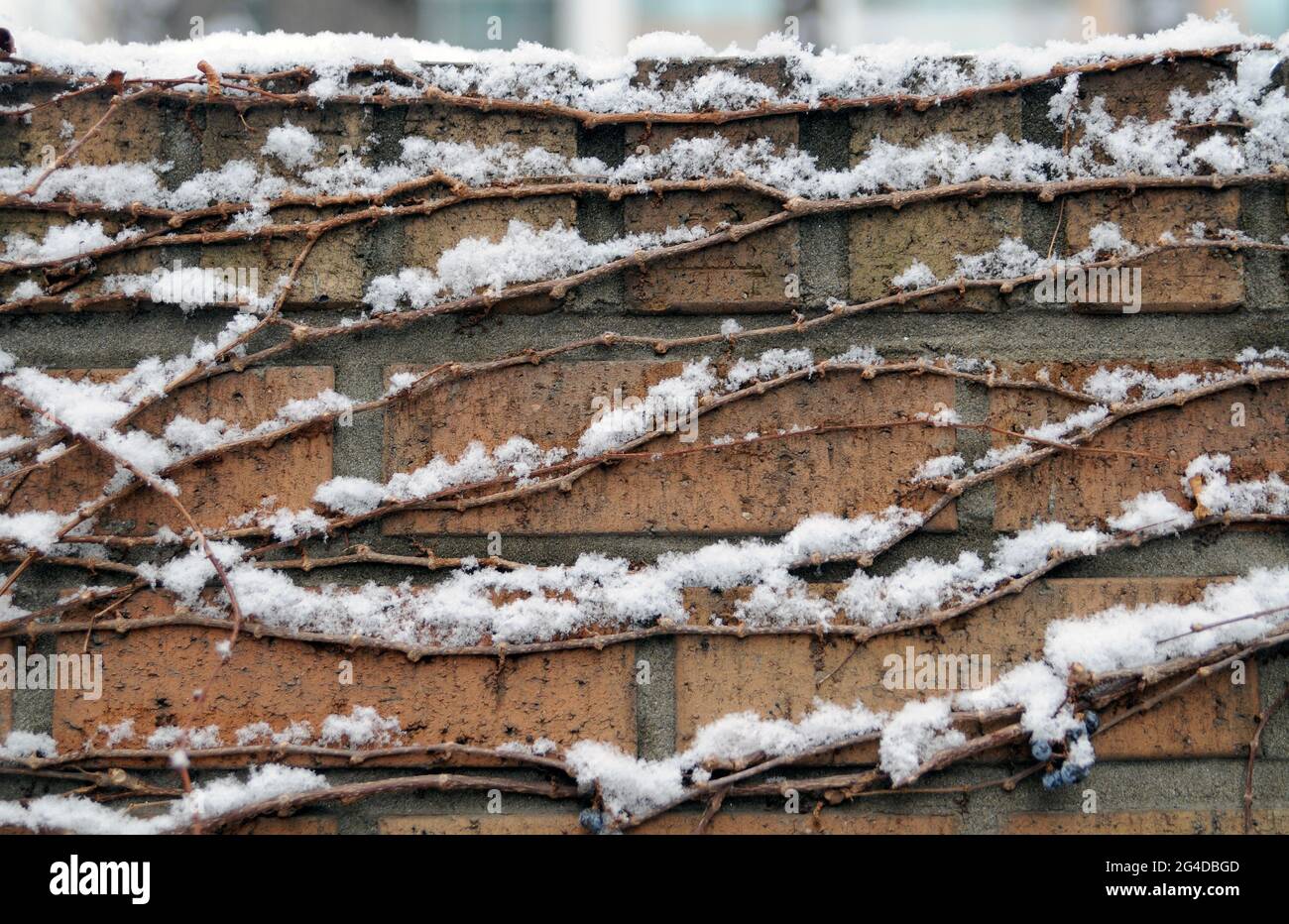 Ice brick wall texture hi-res stock photography and images - Alamy