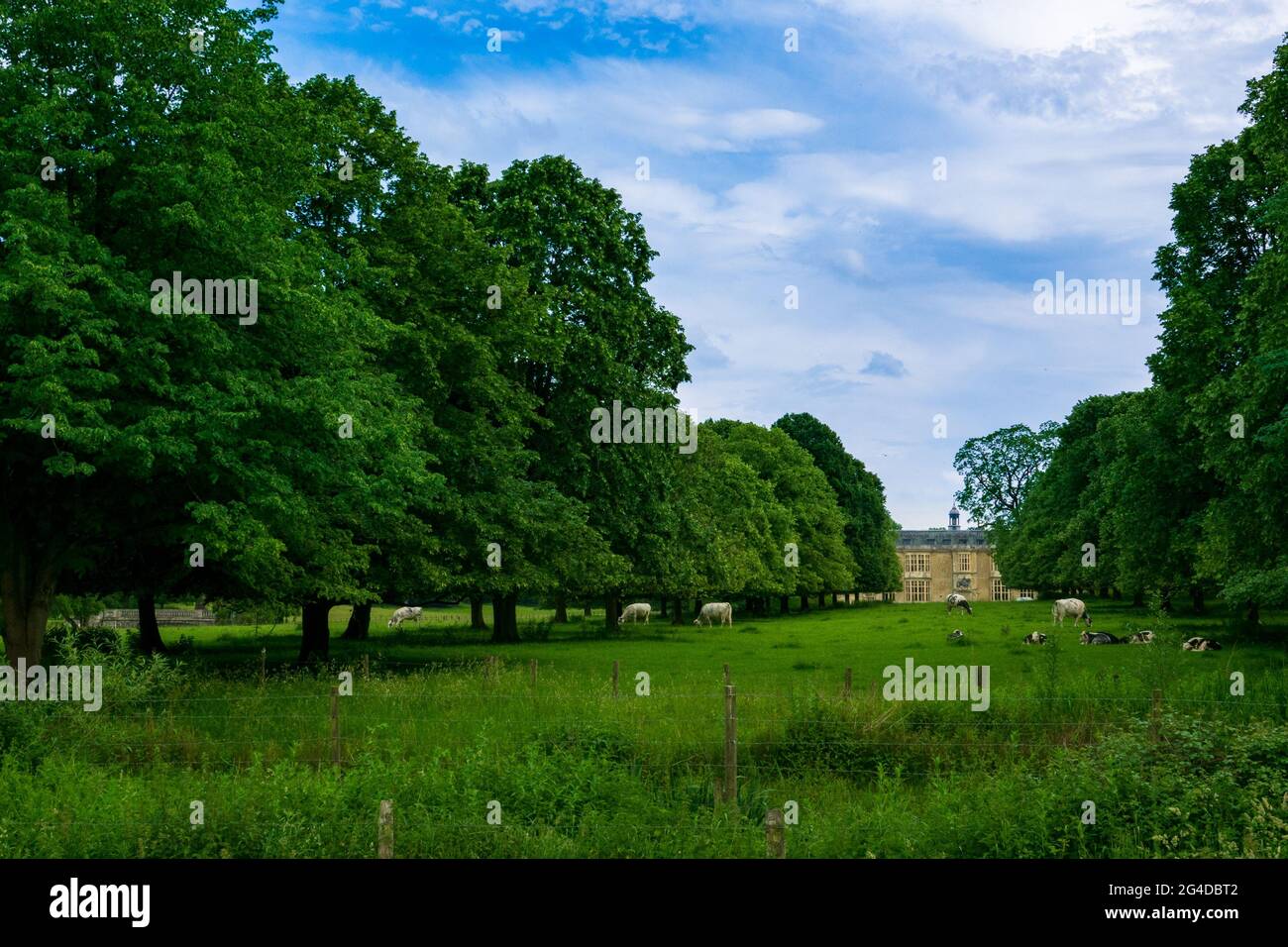 Hartwell house hi-res stock photography and images - Alamy