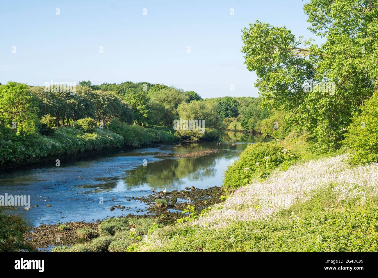 Fatfield hi-res stock photography and images - Alamy