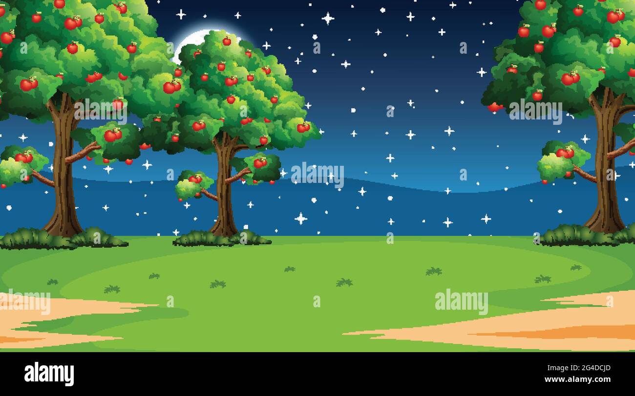 Blank nature park landscape scene at night time illustration Stock ...