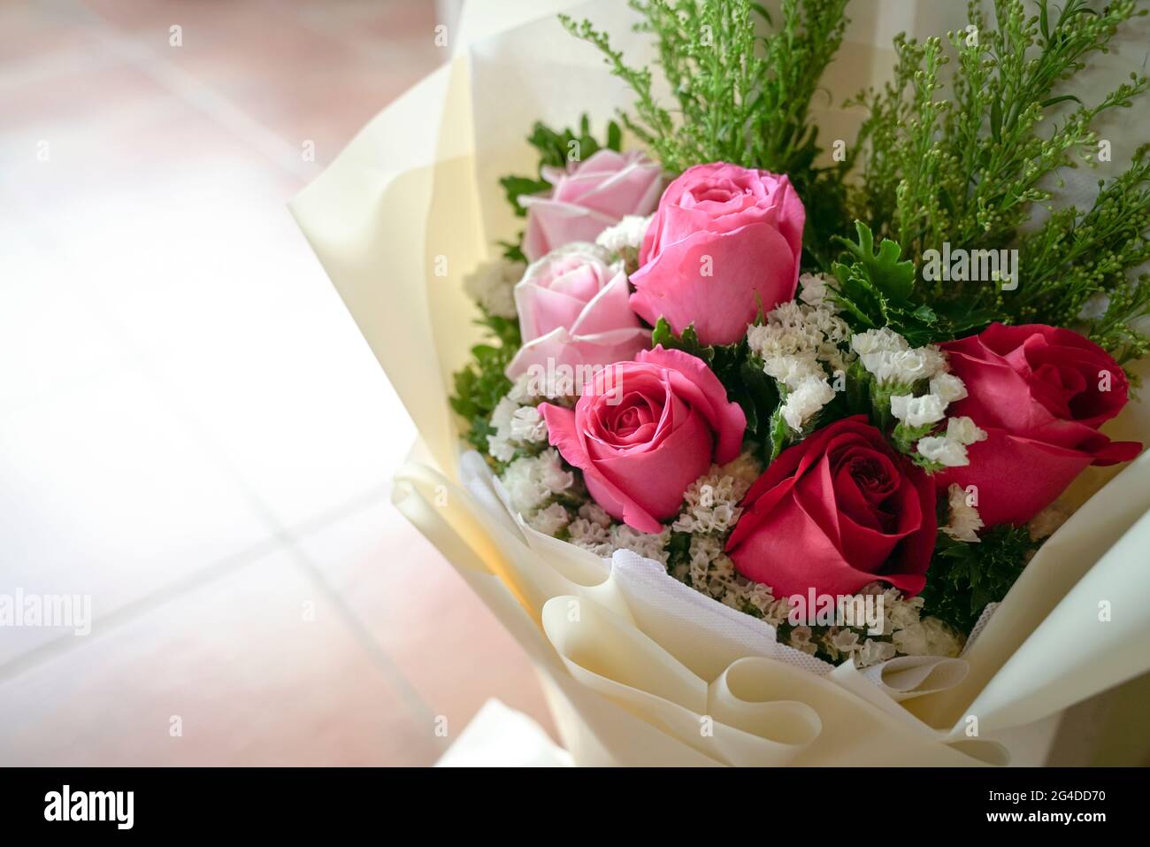 Red pink roses hi-res stock photography and images - Alamy