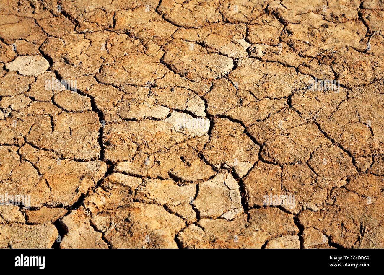 Cracked mud texture hi-res stock photography and images - Alamy