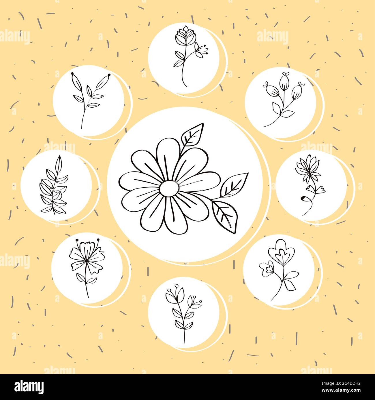Set illustration nine flowers hi-res stock photography and images - Alamy
