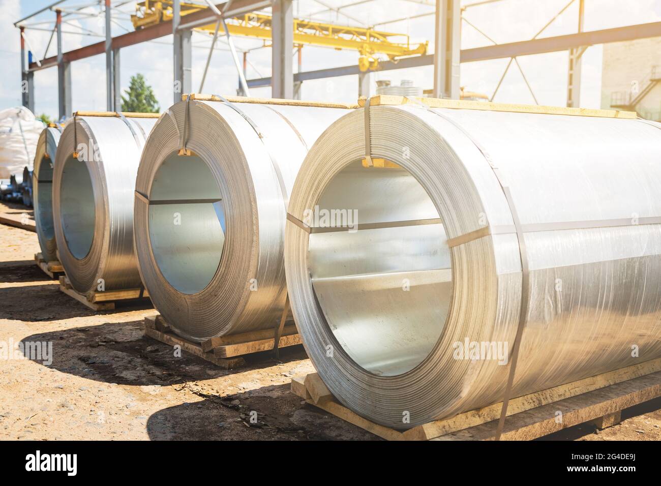 Stainless steel rolls. Rolls of steel sheet in the warehouse. A roll of ...