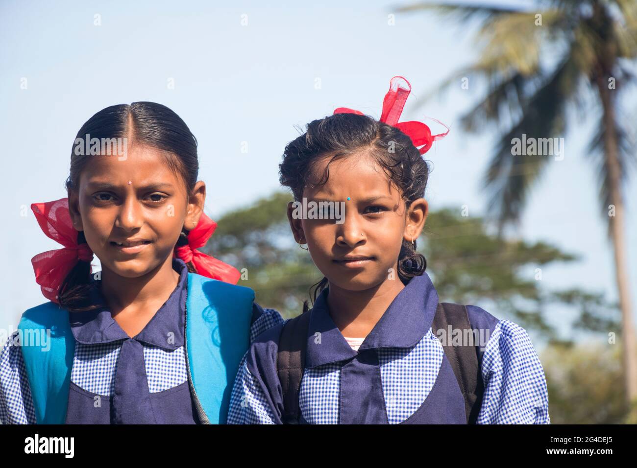 Two primary school girls in class hi-res stock photography and images ...