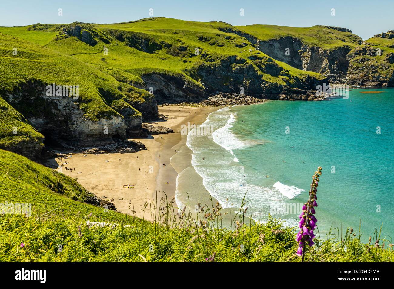 The beautiful English coastline with lush green pastures sparkles in ...