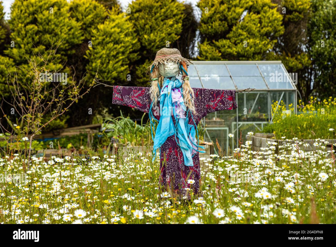 A colourful scarecrow stands guard in the garden to fend off all the ...