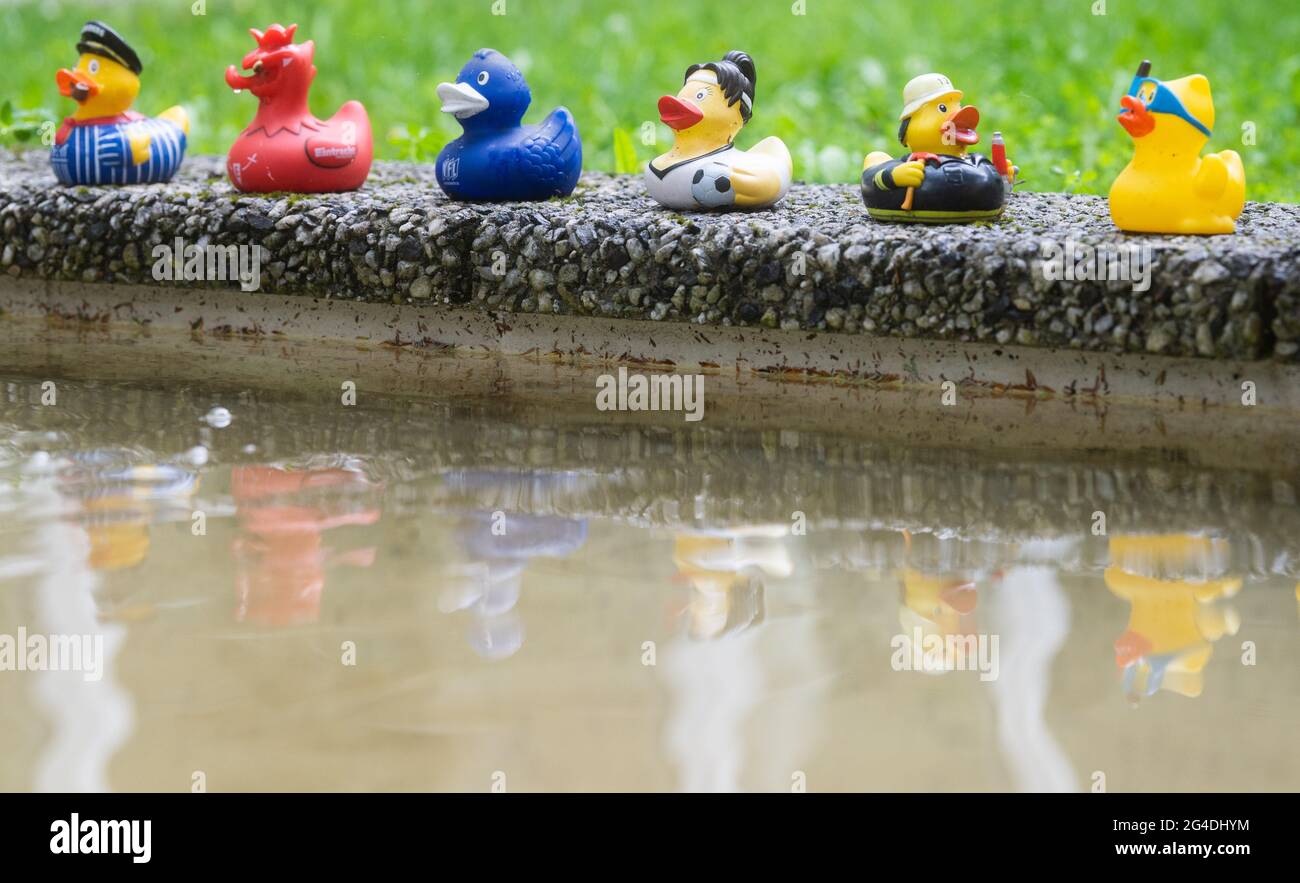 Bathing ducks hi-res stock photography and images - Alamy
