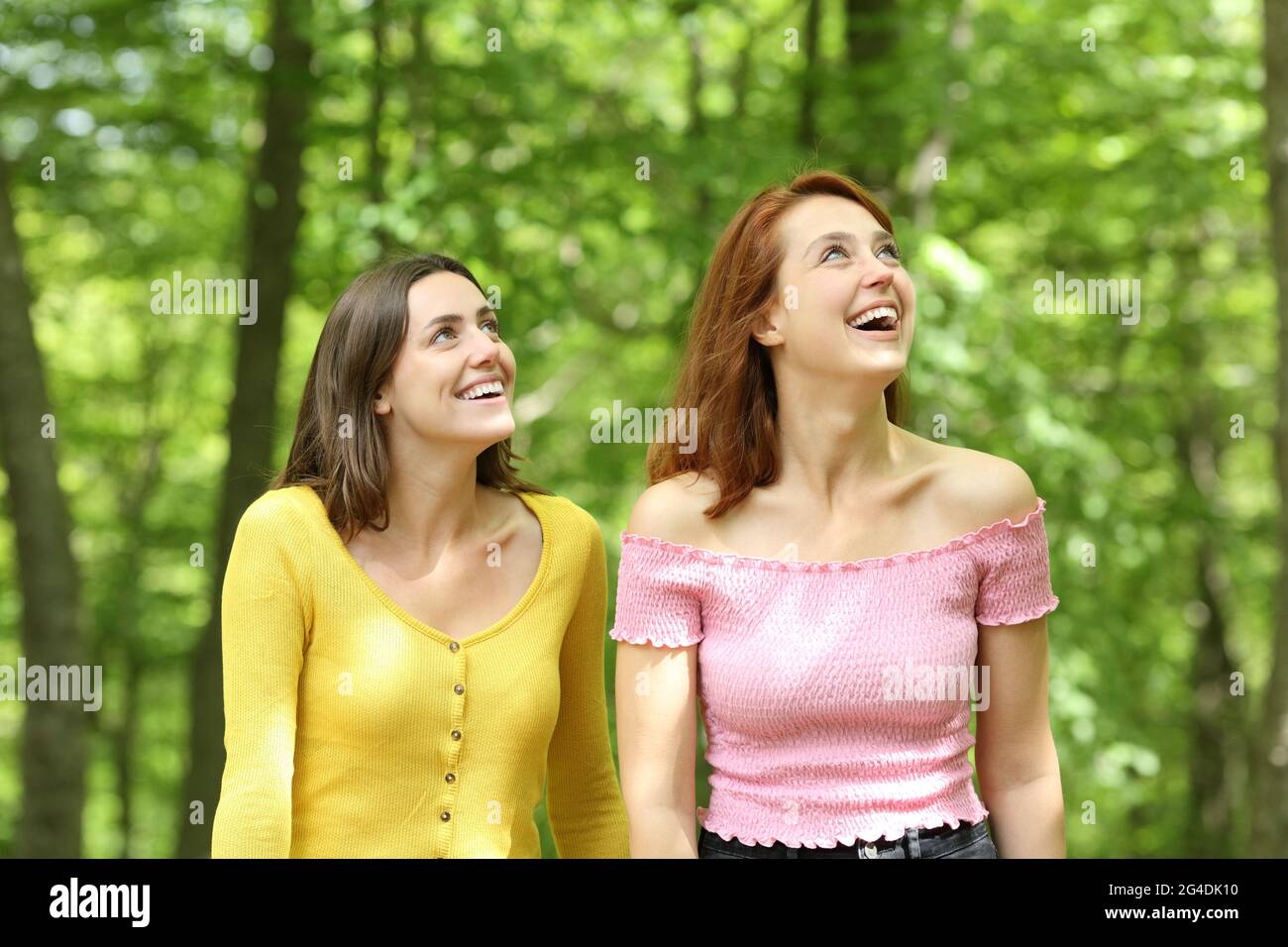 Two amazed friends contemplating views walking in a forest on summer ...