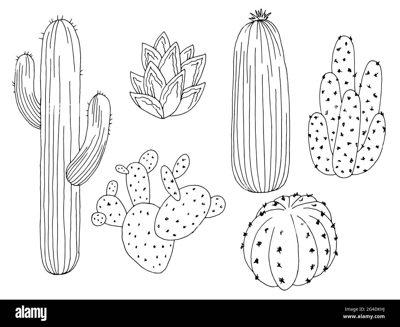 Set cactus hi-res stock photography and images - Alamy