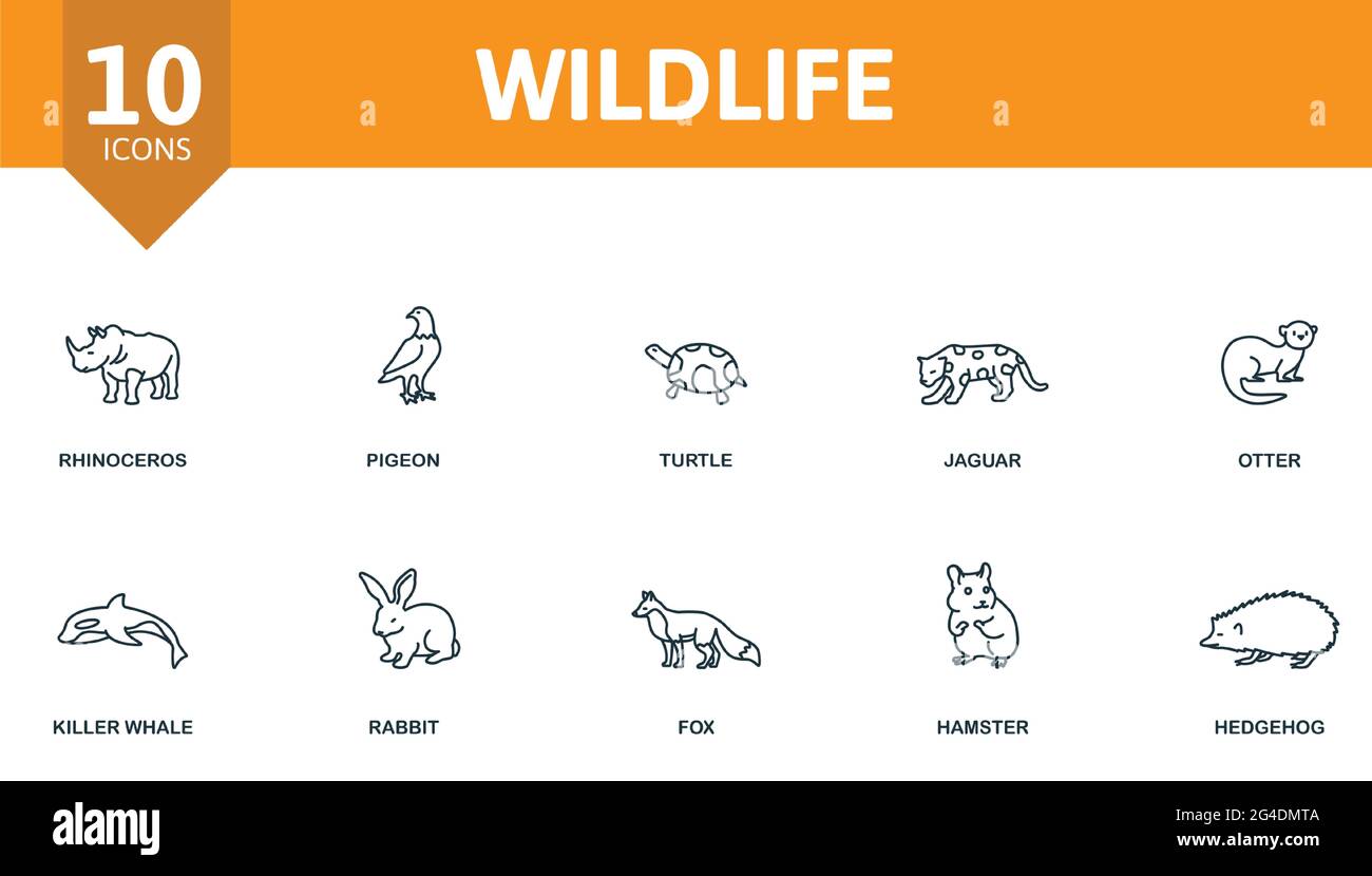Wildlife icon set. Contains editable icons wild animals theme such as ...