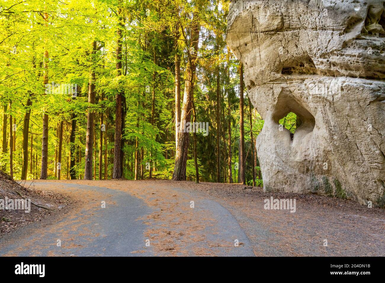 Asphalt road in the forest with sandstone rock formation Stock Photo ...