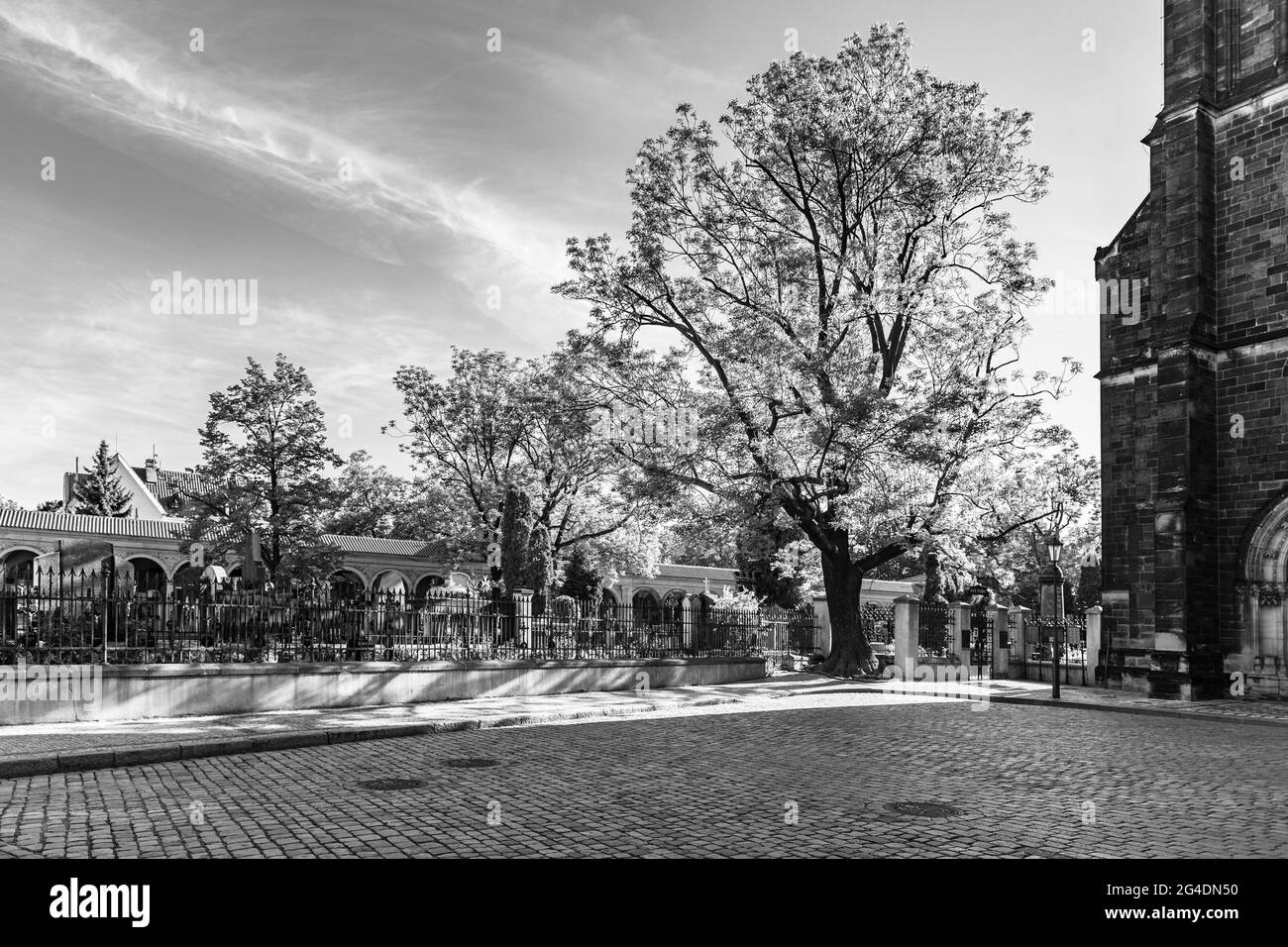 Slavin cemetery in Vysehrad in Prague Stock Photo - Alamy