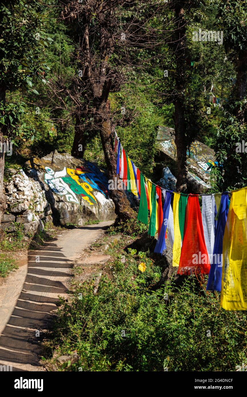 Buddhist prayer flags Stock Photo - Alamy