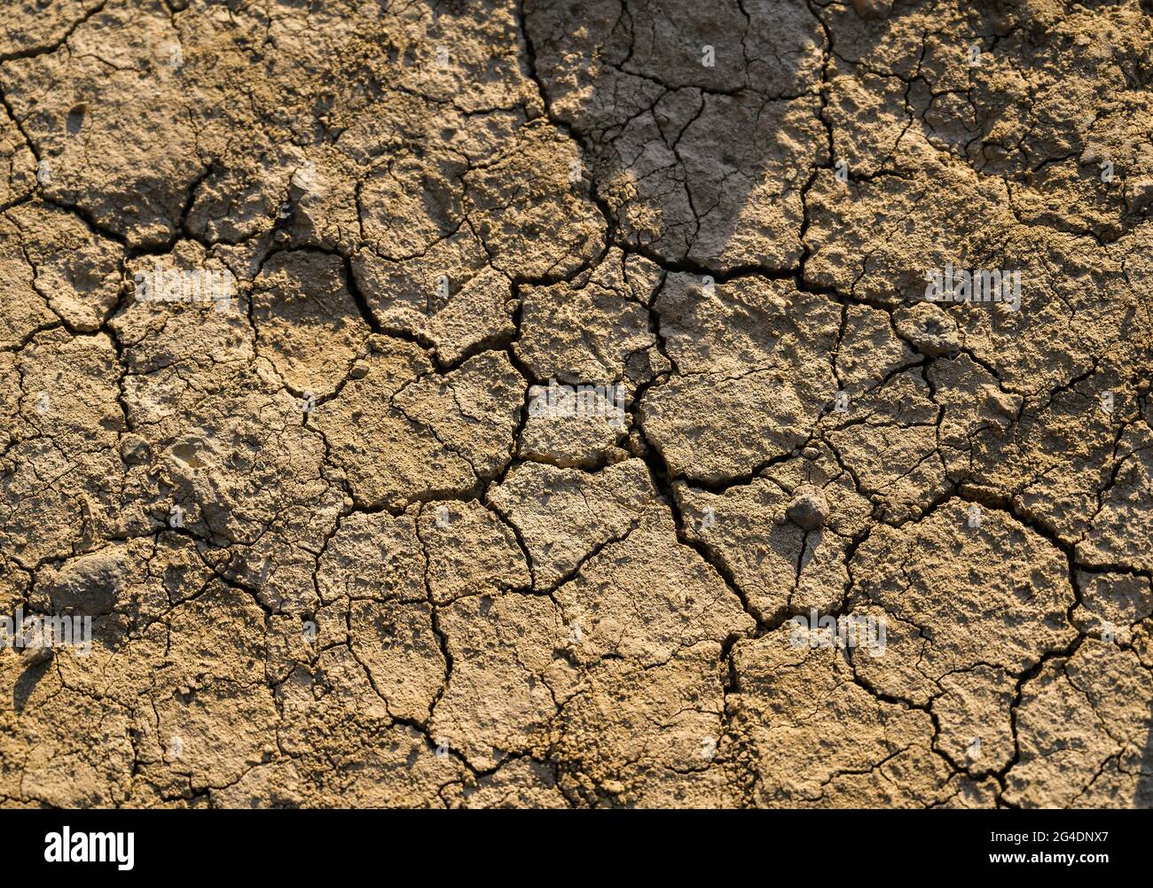 Mud (dried clay) as natural background Stock Photo - Alamy