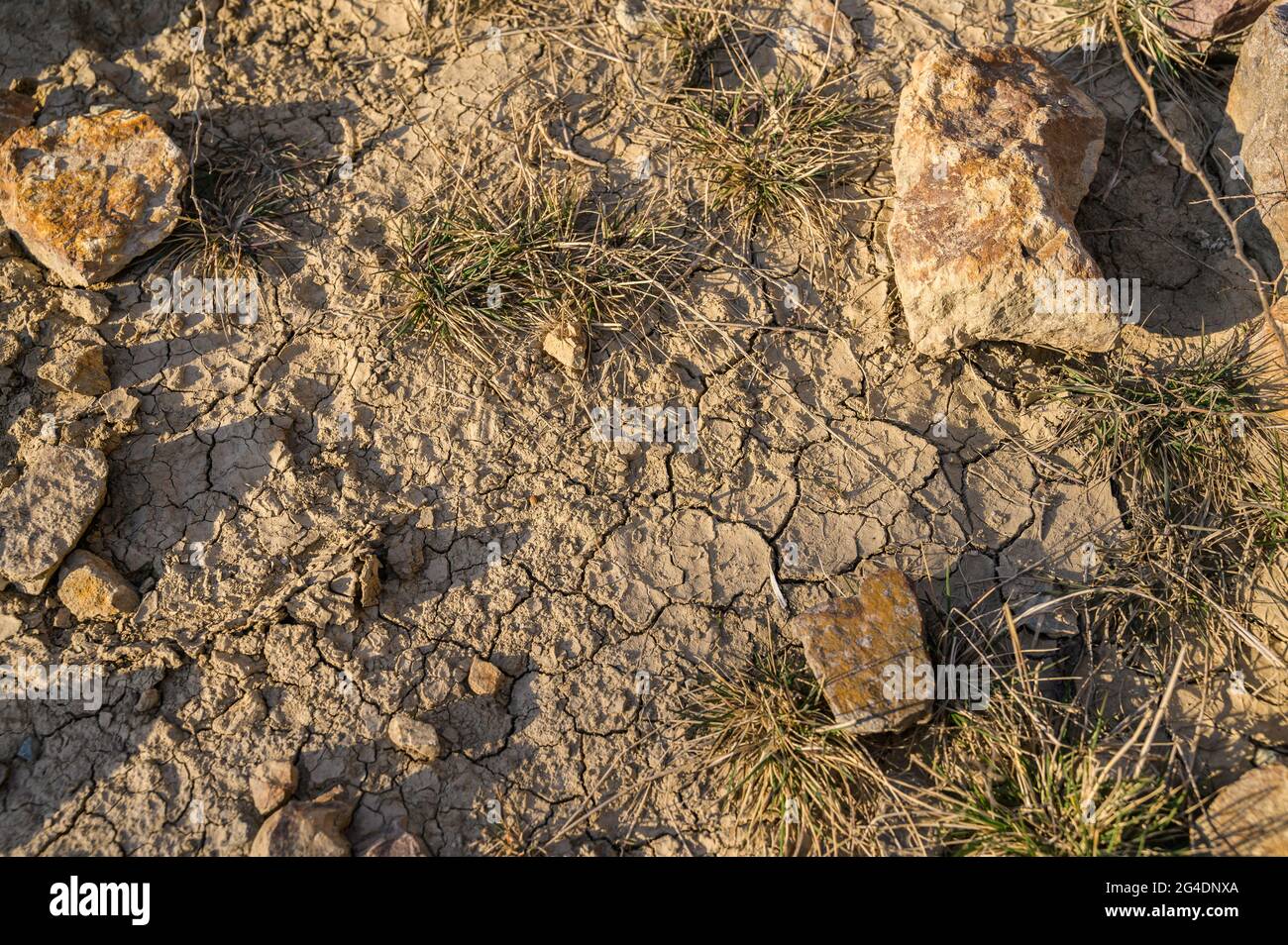 Mud (dried clay) as natural background Stock Photo - Alamy