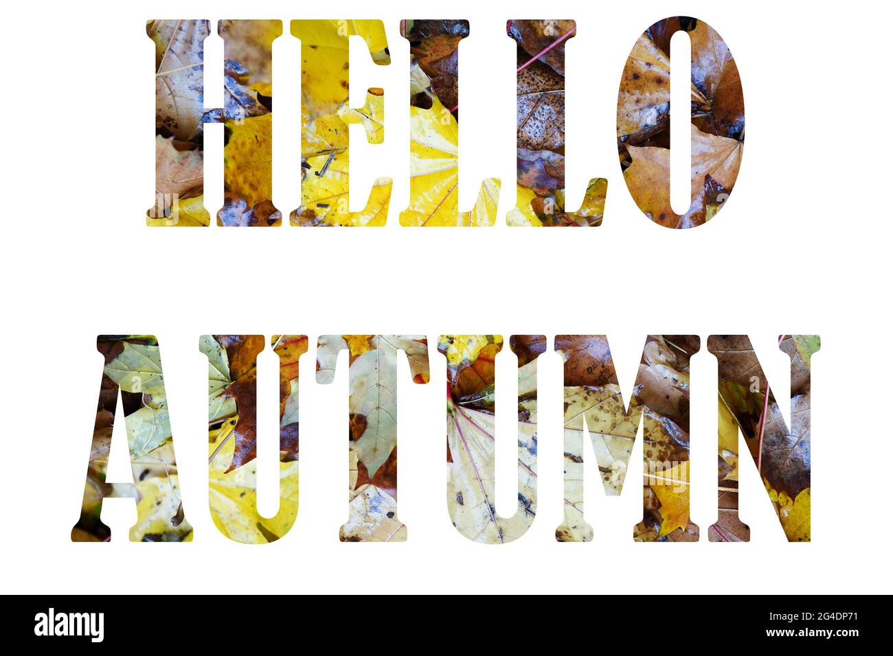 Hello Autumn text from yellow leaves isolated on white background Stock ...