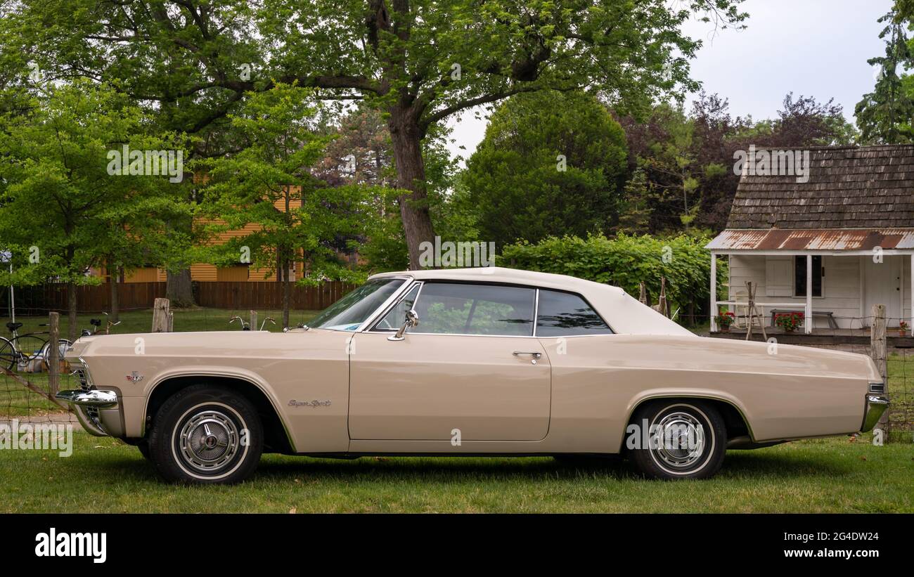 DEARBORN, MI/USA - JUNE 19, 2021: A 1965 Chevrolet Impala SS car at the ...