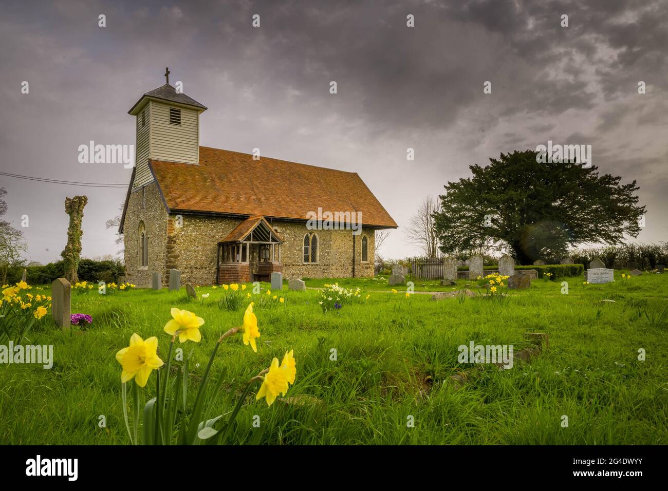 Tey hi-res stock photography and images - Alamy