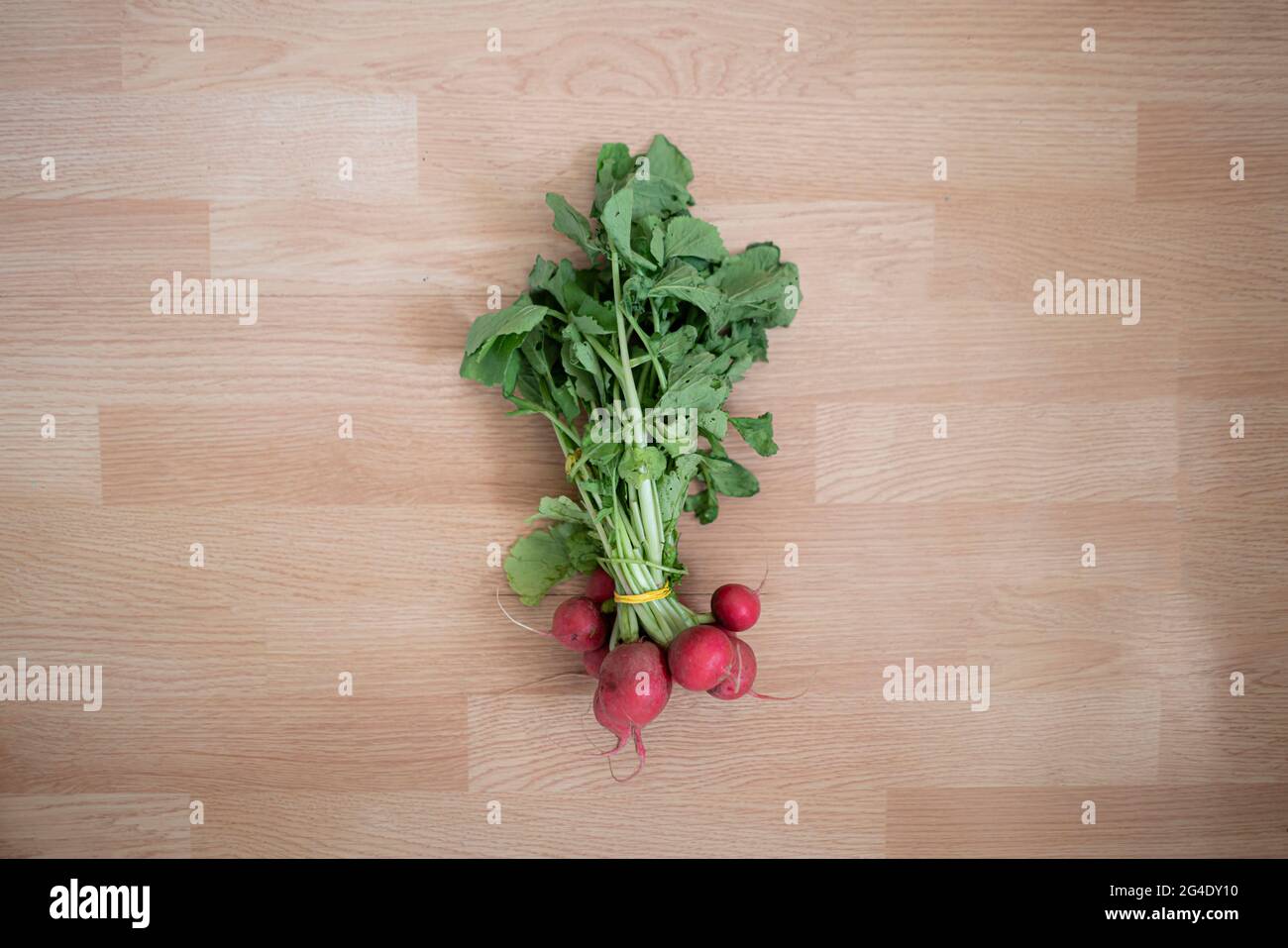 a bunch of fresh raw redish vegetable with leafs isolated Stock Photo ...