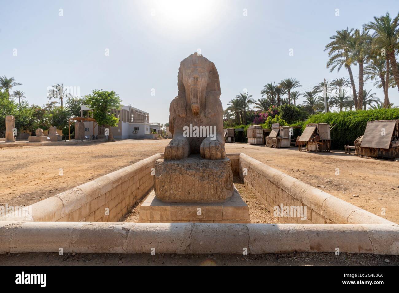 The alabaster sphinx of Amun-Ofis II at the ancient Egyptian capital of ...