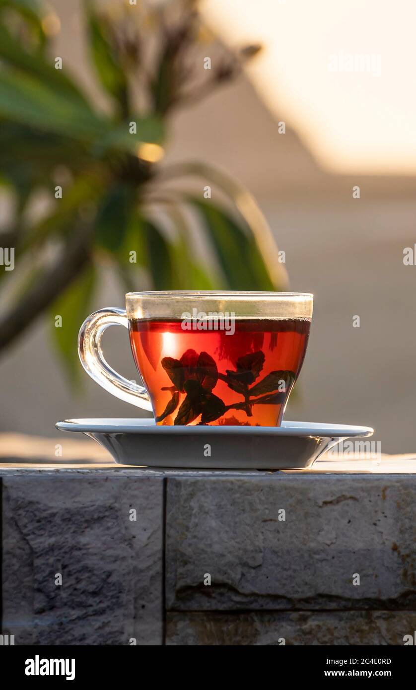 Pyramids cafe hi-res stock photography and images - Alamy