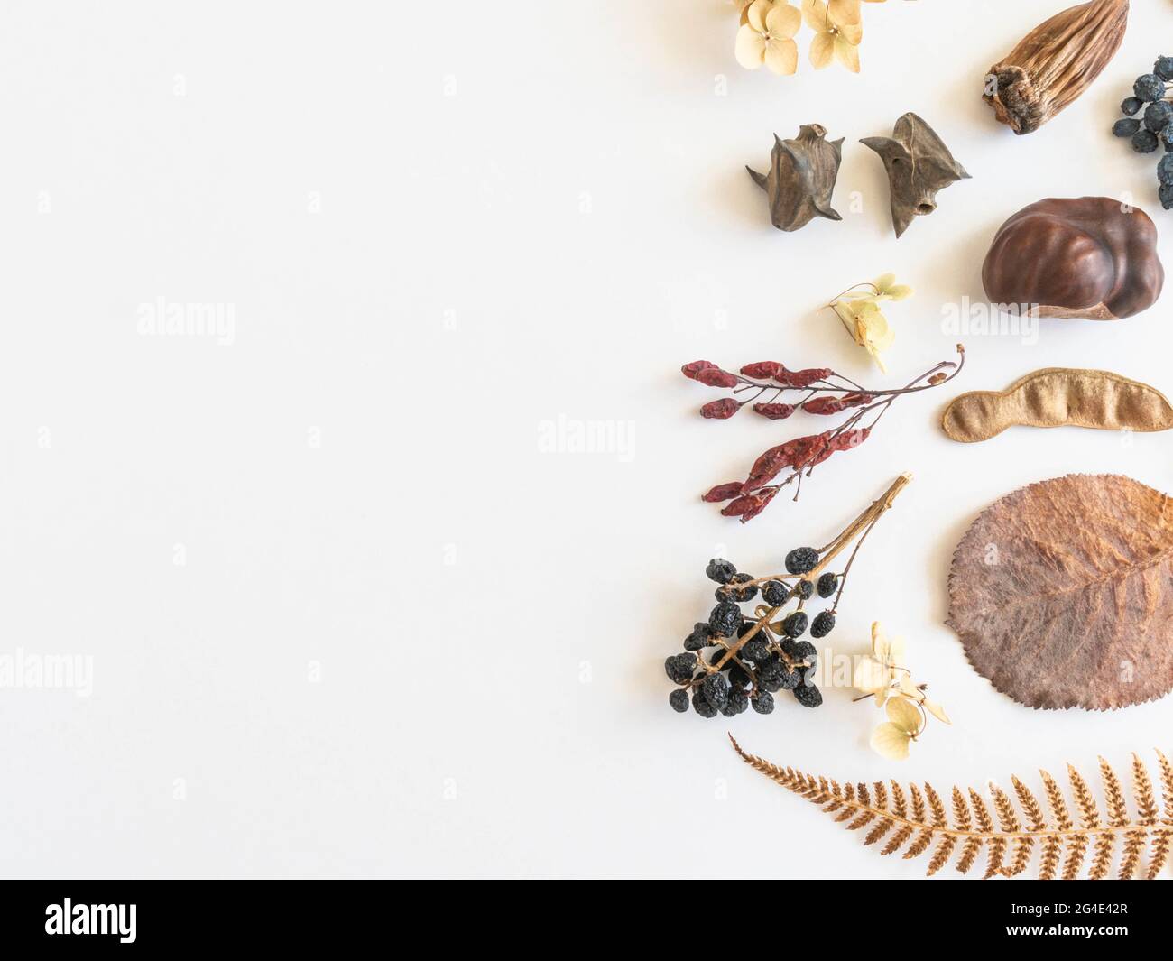 Flat lay autumn composition. border or frame made of various fall ...