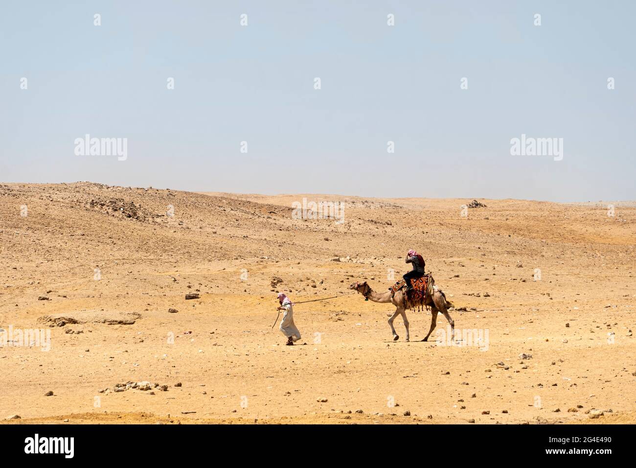 Camel riders in the desert, Egypt. a Bedouin leads a camel through the desert Stock Photo - Alamy