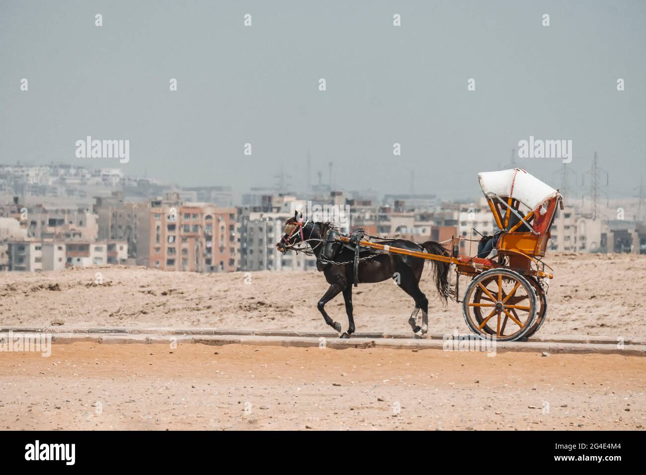 Egypt cairo giza horse cart hi-res stock photography and images - Alamy