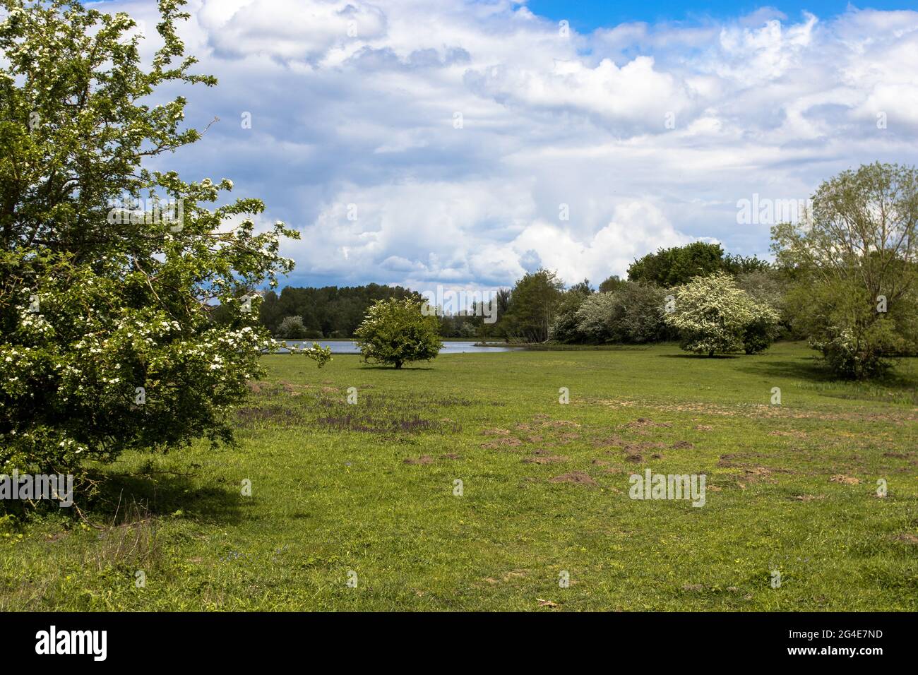 Beautiful Natural reserve with a lake and greenery in Eijsden ...