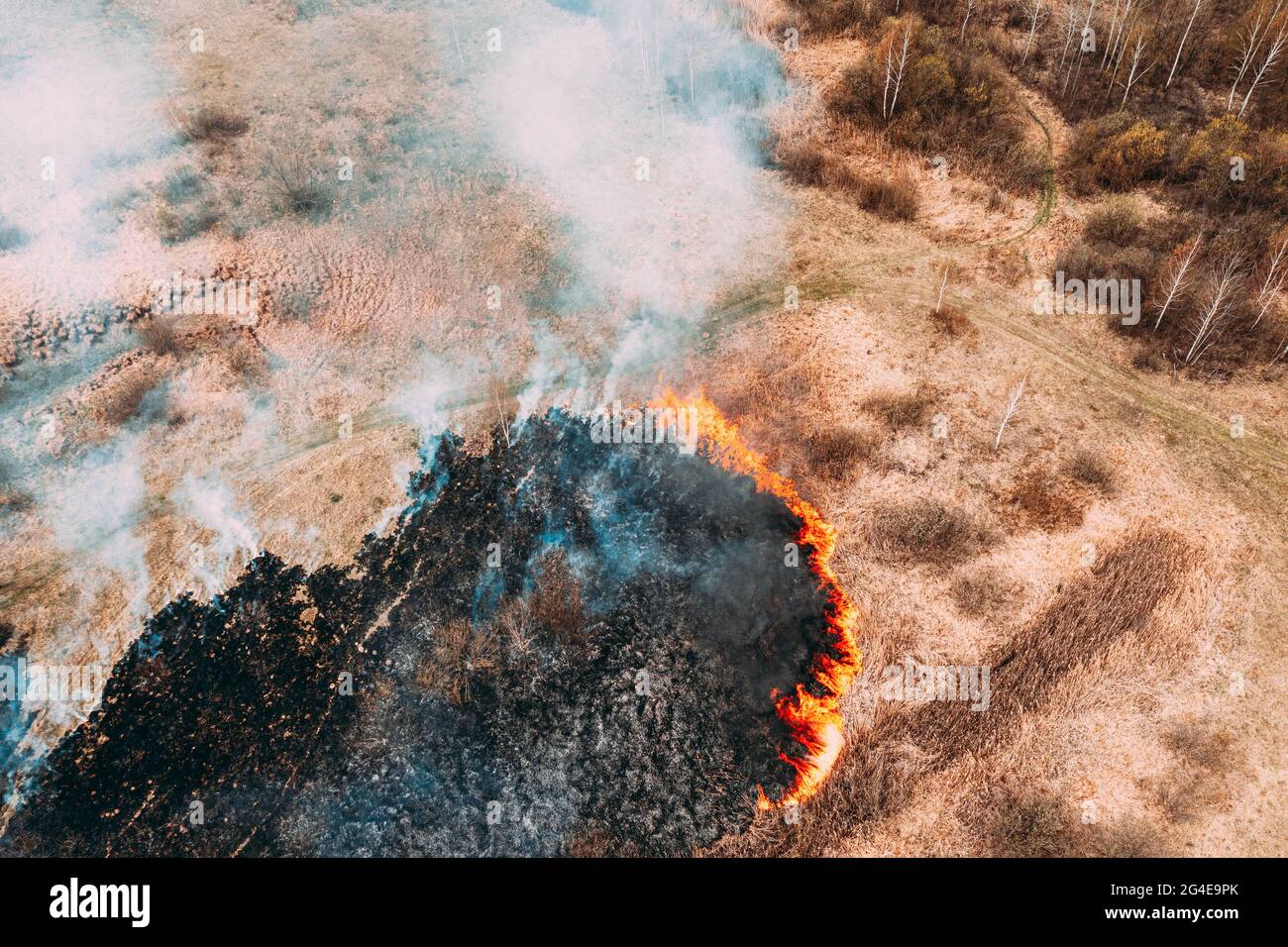 Aerial View. Dry Grass Burns During Drought And Hot Weather. Bush Fire ...