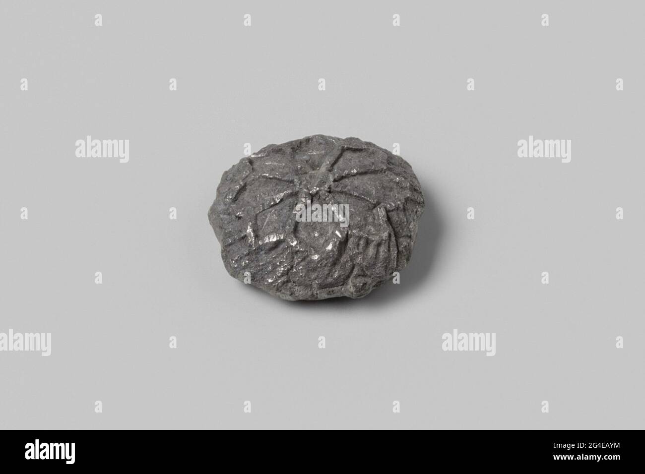 Button from the wreck of the East India hollandia. Button. (1) Domed ...