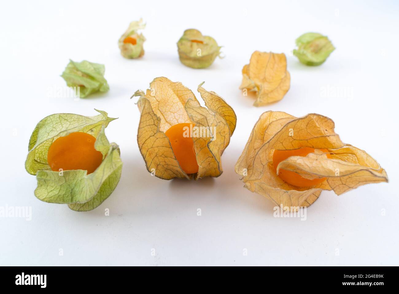 Golden berry hi-res stock photography and images - Alamy