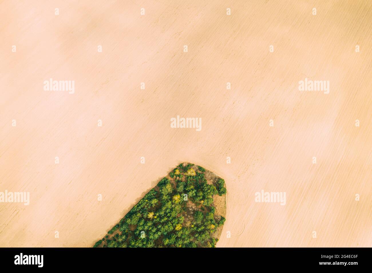 Aerial Top View Of Agricultural Landscape With Growing Forest Trees On ...