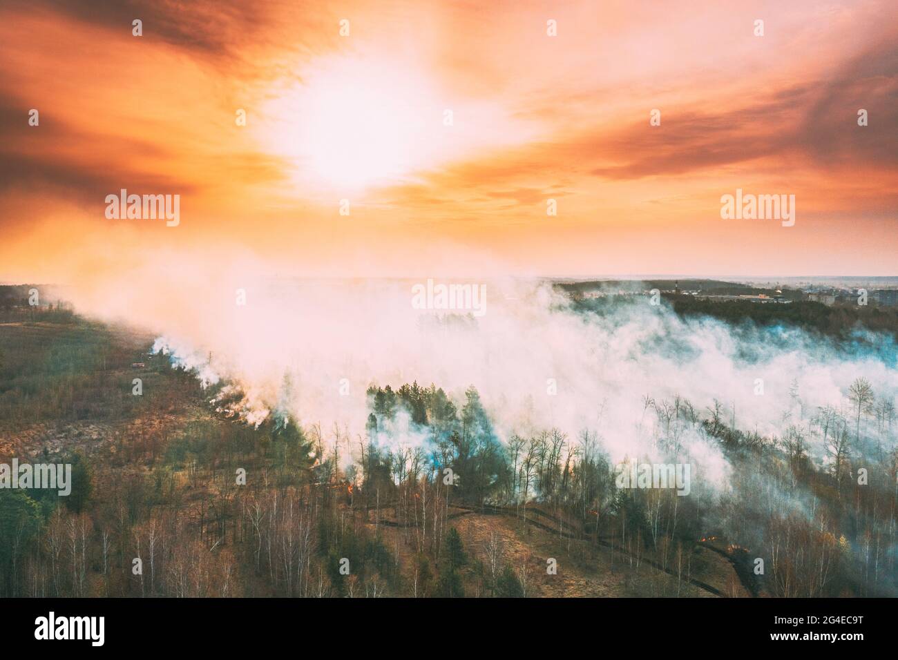 Aerial View. Spring Dry Forest Burns During Drought Hot Weather. Bush ...