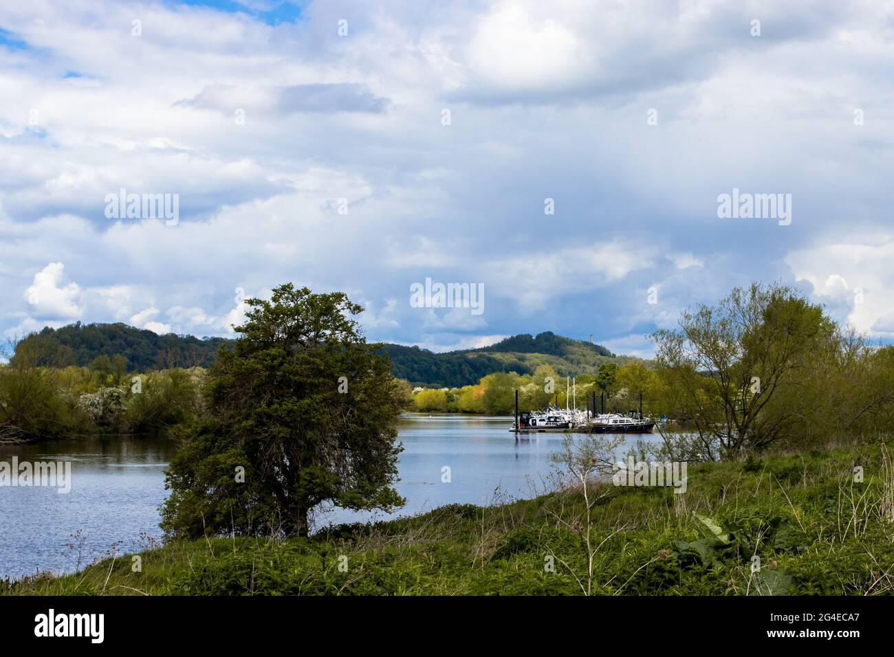 A beautiful Natural reserve with a lake and greenery in Eijsden ...
