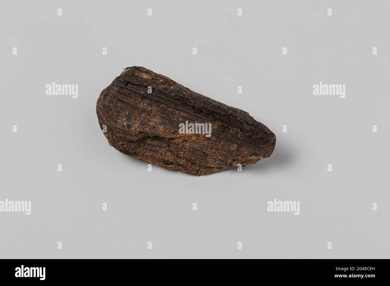 Fragment wood from the wreck of the East Indieschief Hollandia. Parts ...