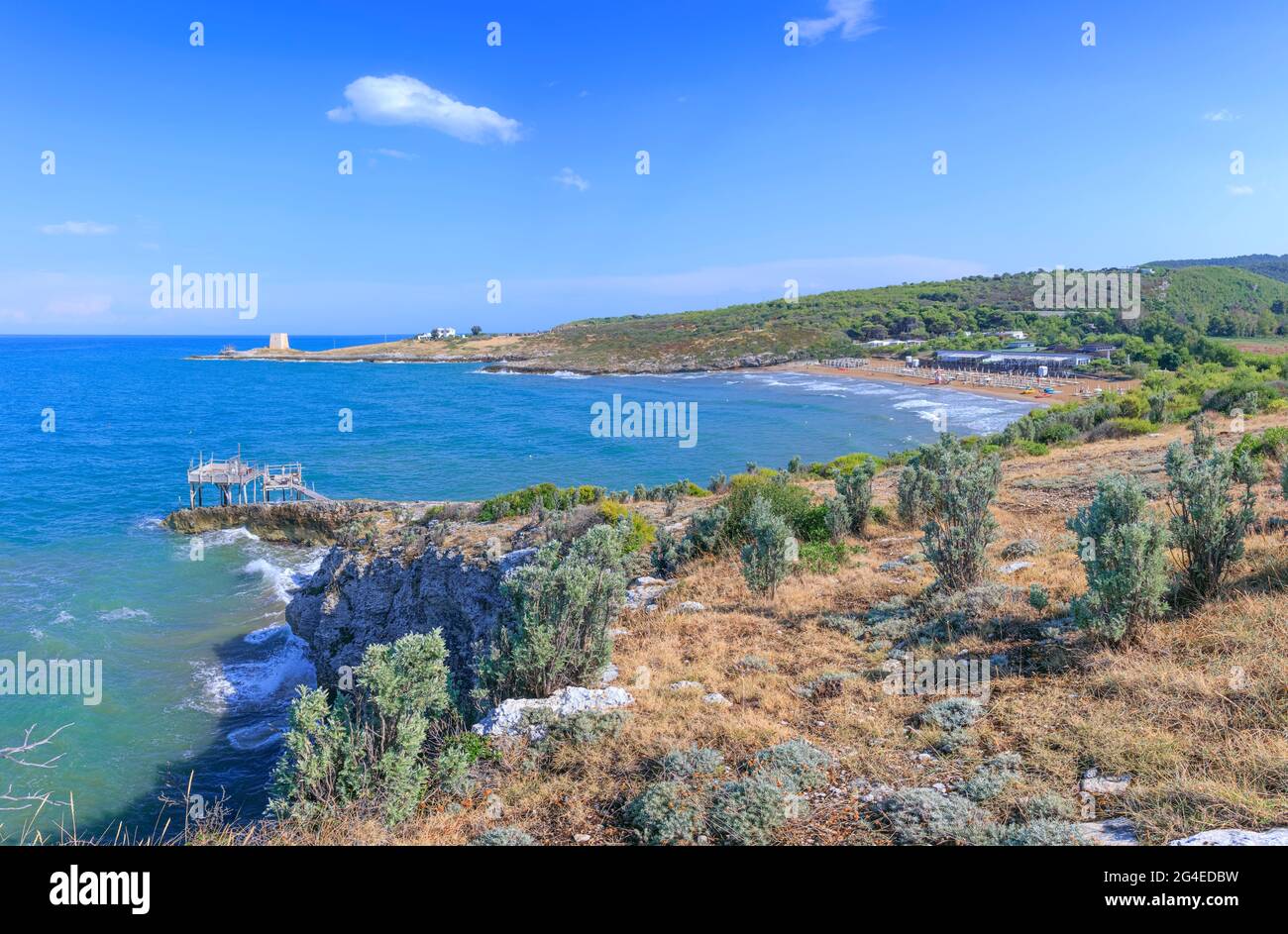 Typical Puglia sea with trebuchet, watchtower, cliff e sandy beach on ...
