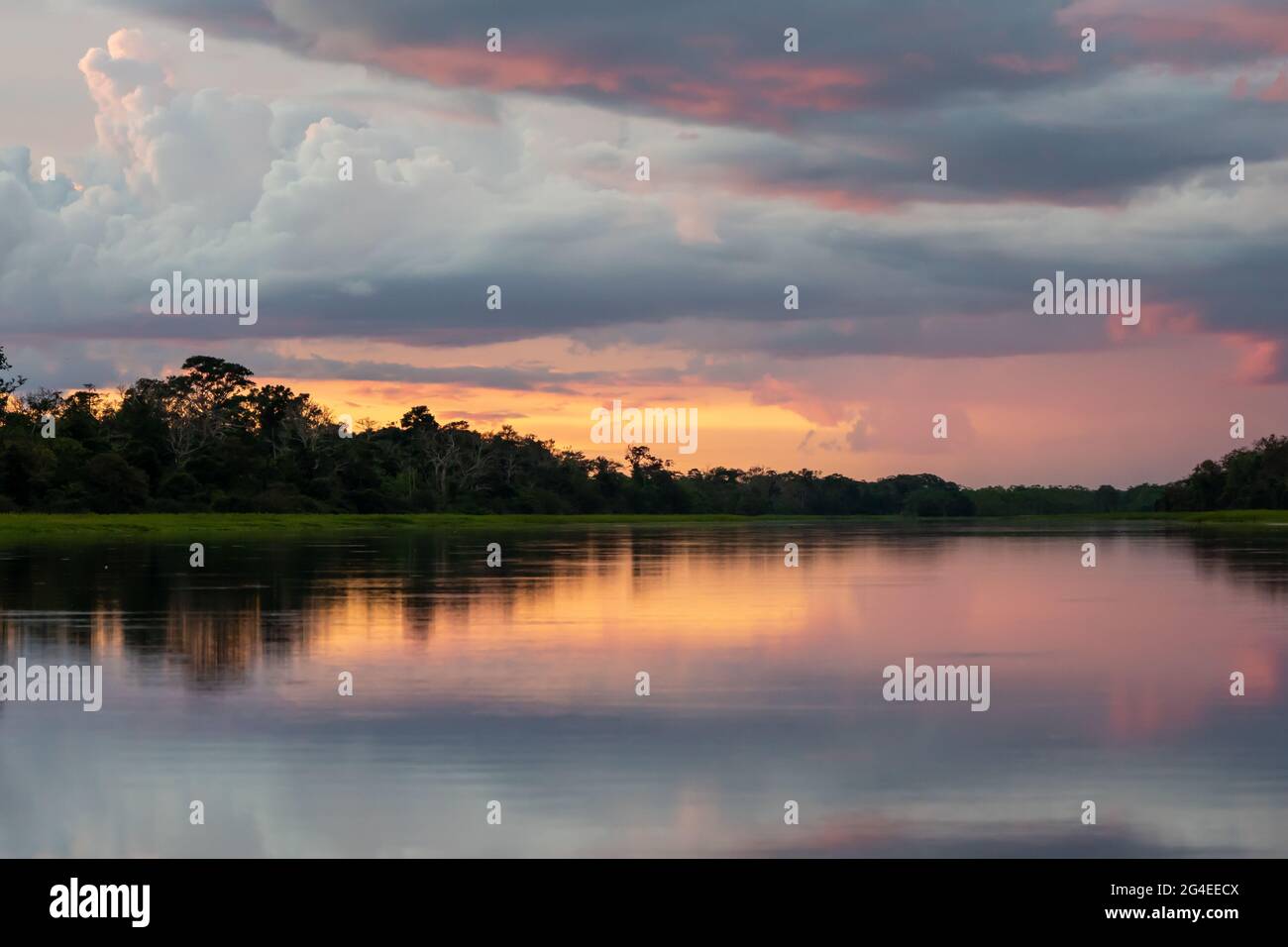 Amazon biome hi-res stock photography and images - Alamy