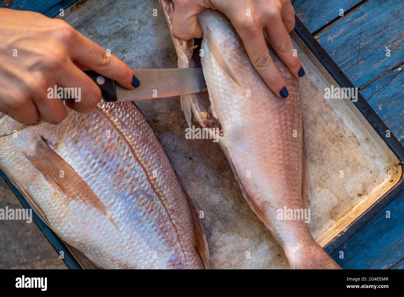 Dinner tray stomach hi-res stock photography and images - Alamy