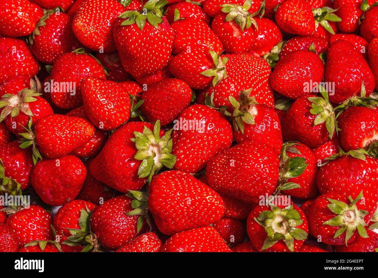 Strawberry background. Fresh ripe fruits, summer food background ...