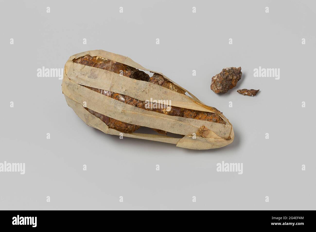 Concretion from the wreck of the East Indiesman Hollandia. Parts or ...