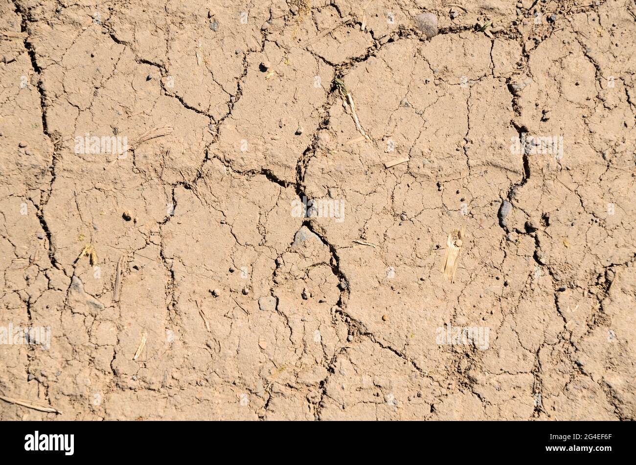 Dry soil, cracked muddy ground, dried mud with cracks, flat lay view ...