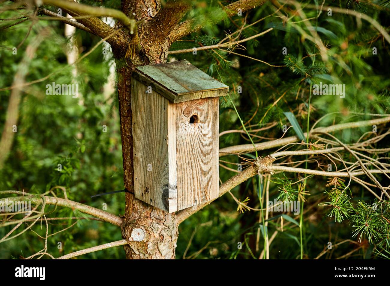 a wood bird house hanging on a tree Stock Photo - Alamy