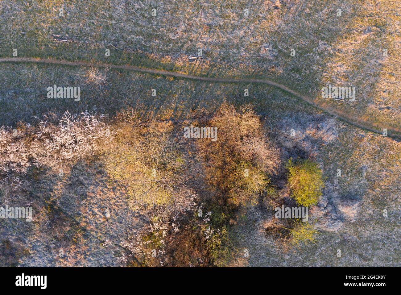 Torgny natural reserve Raymond Mayné Stock Photo - Alamy