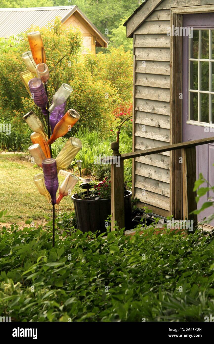 Bottle tree in the garden Stock Photo - Alamy