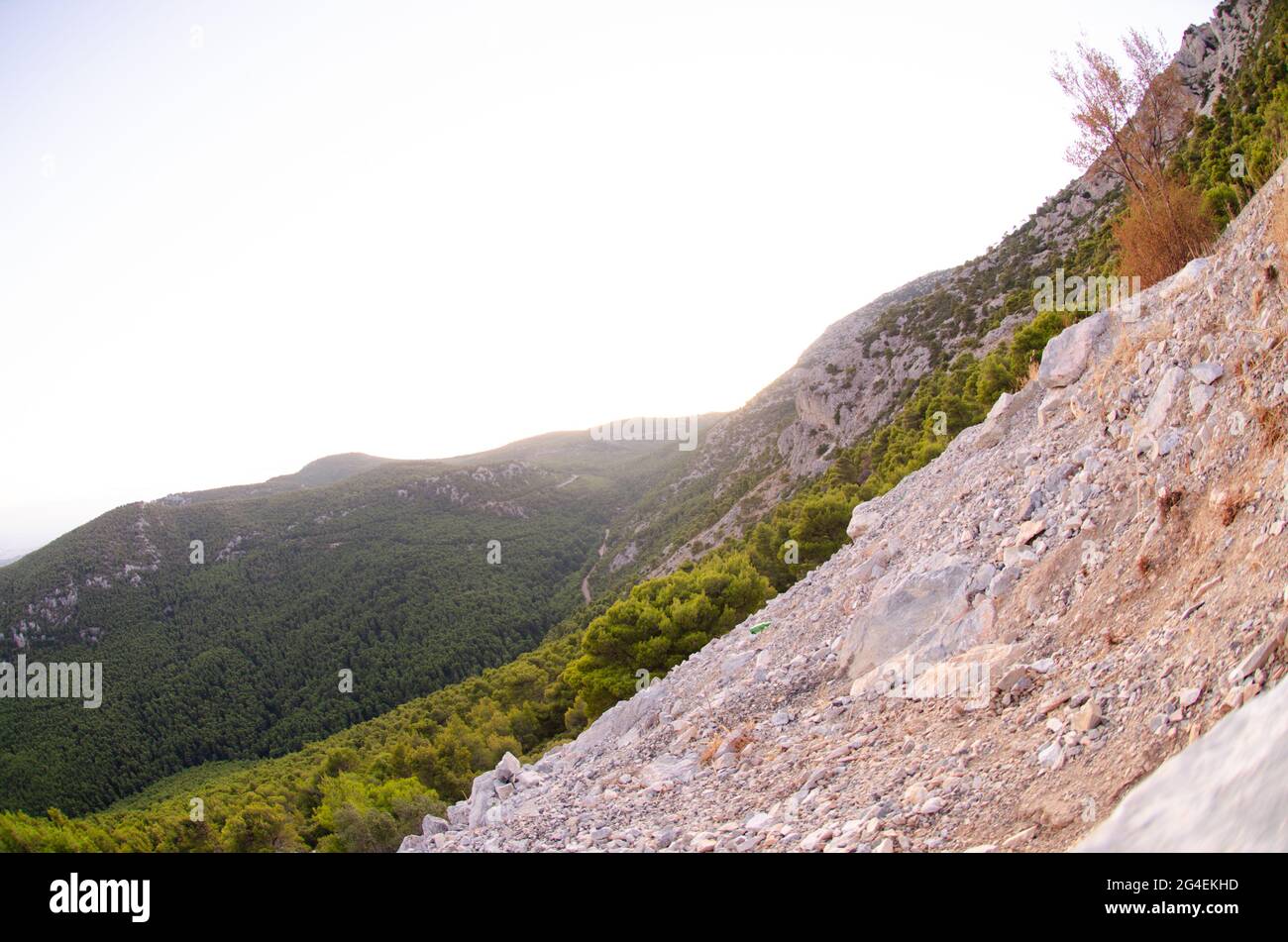 Landscape of grasses on a rocky field during sunrise Stock Photo - Alamy