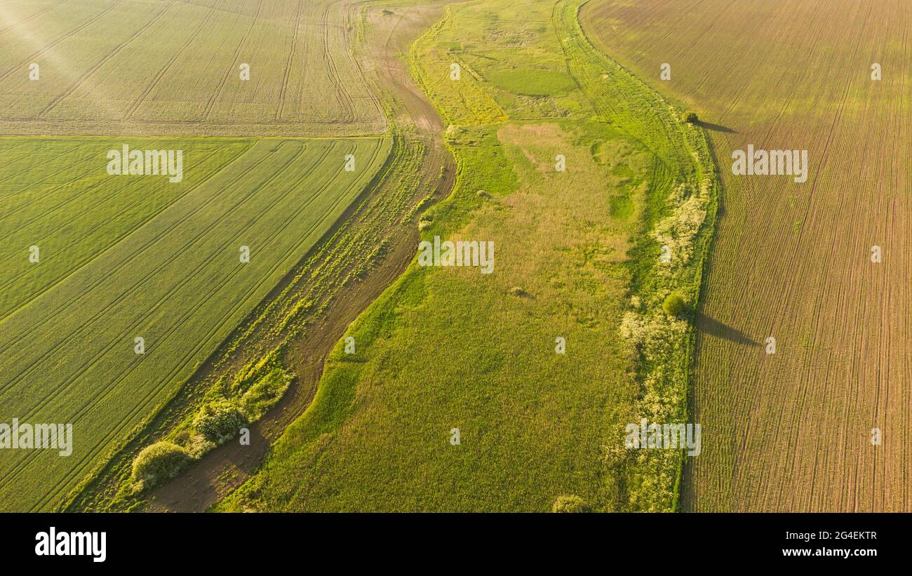 Rural landscape. Top down view of rural field meadow scene. Countryside ...