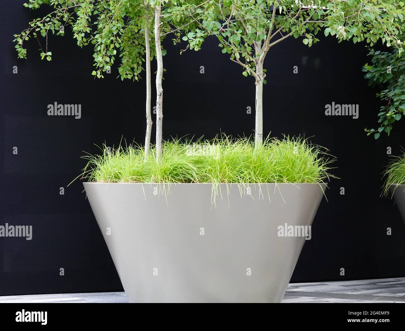 Ornamental grass pot hi-res stock photography and images - Alamy